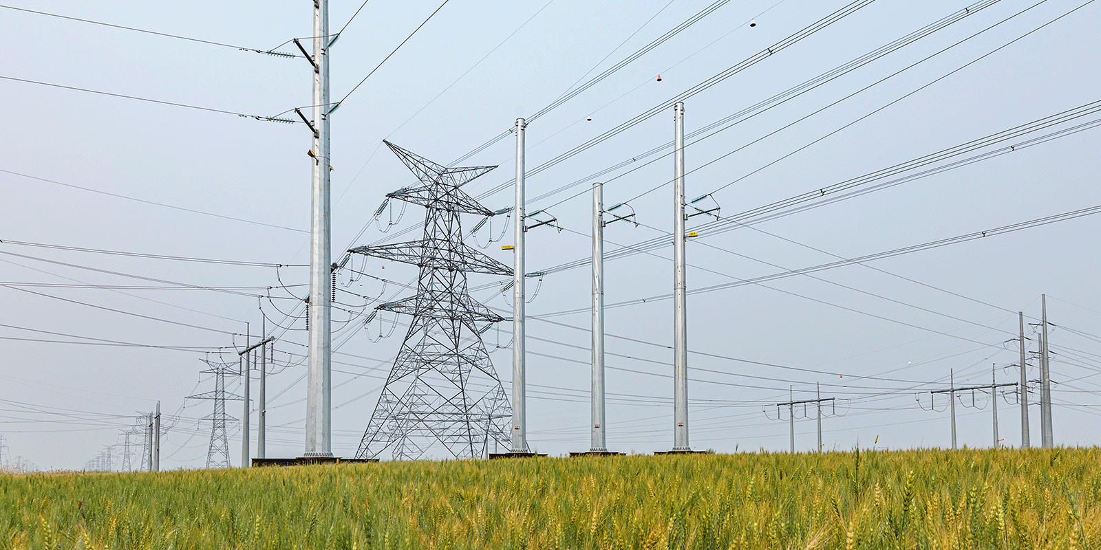 Case Study | Transmission System Reinforcement