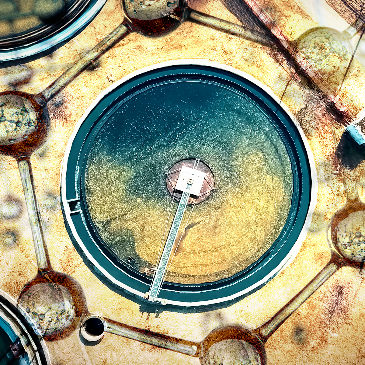 White Paper | Navigating New BWON Rule Enforcement Strategies