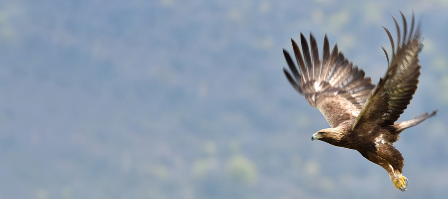 Mitigation Banking USA