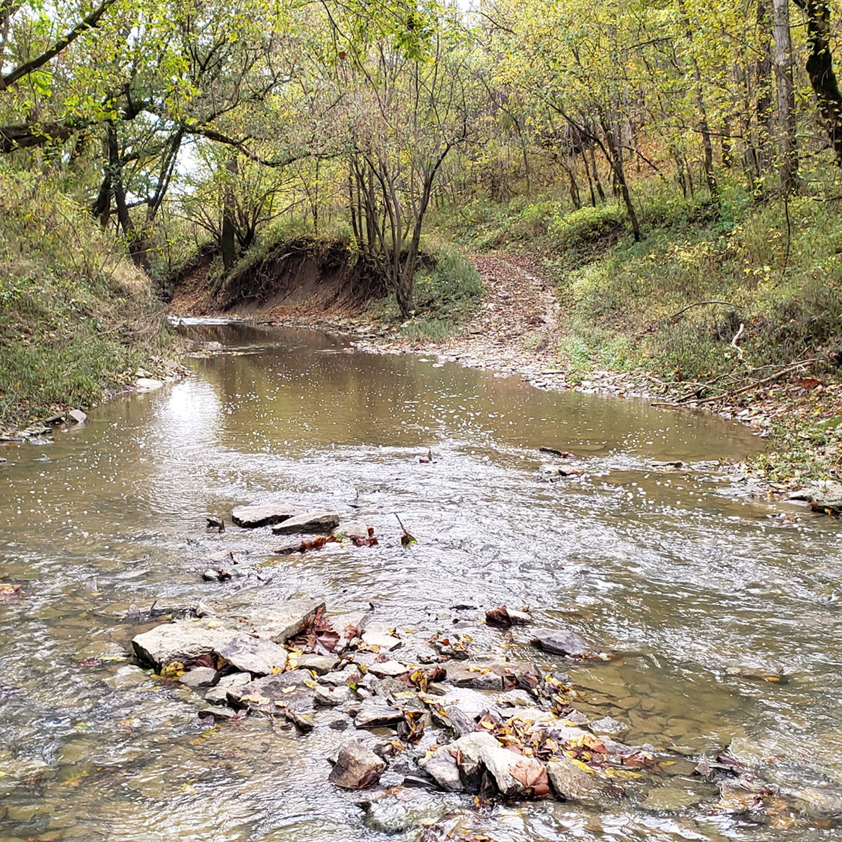 Stream Restoration Provides Offsets for Environmental Impacts