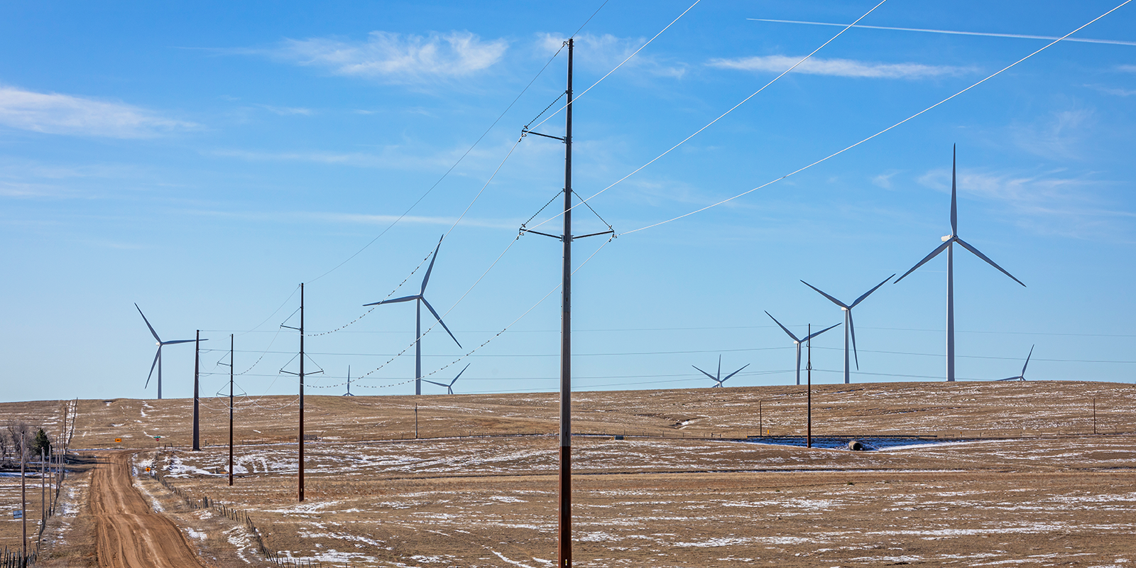 Case Study | Environmental Studies for Southern Cross Transmission Line